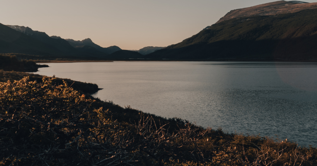 World Earth Day Writing Workshop - ArtsInLibraries